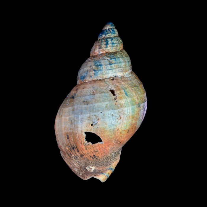 Wulken van de Noordzee stranden – Jan Hof photograpy