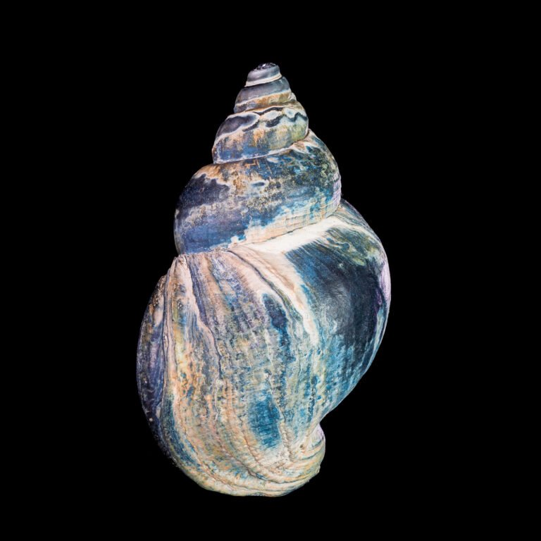 Wulken van de Noordzee stranden – Jan Hof photograpy